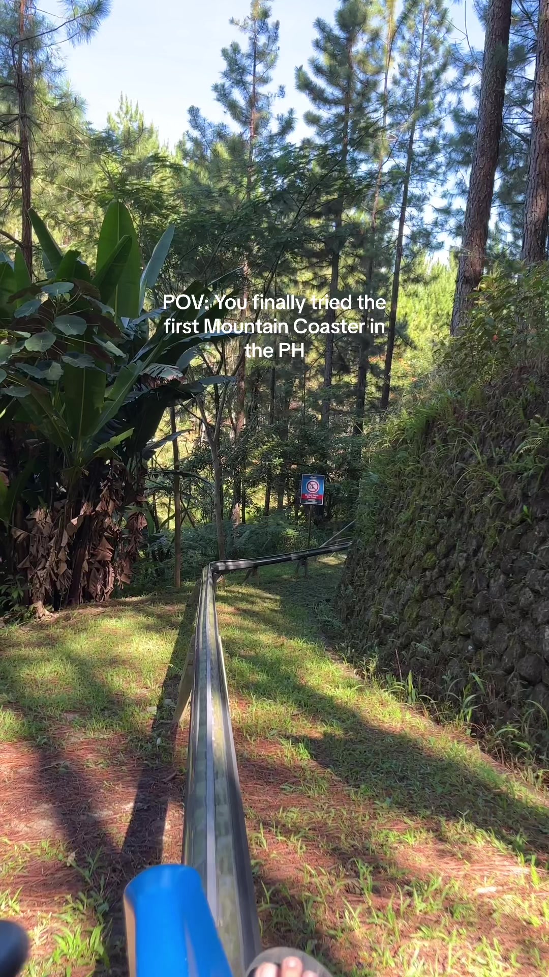 Tried the Razorback Mountain Coaster at | Custard and Buns ...