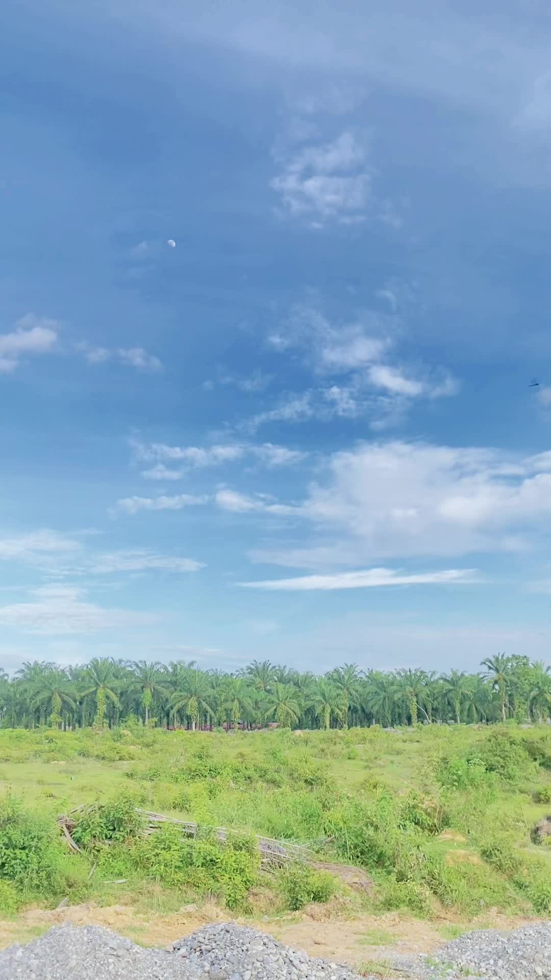 🦄 @rebahan8736 - rebahan21 - TikTok