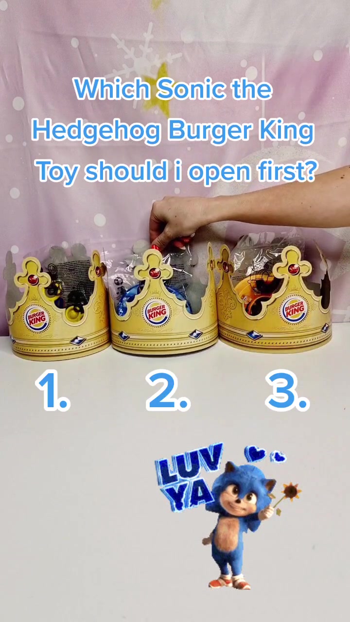 Tiktok Decides which Sonic the Hedgehog | Tanja's Toys Review ...