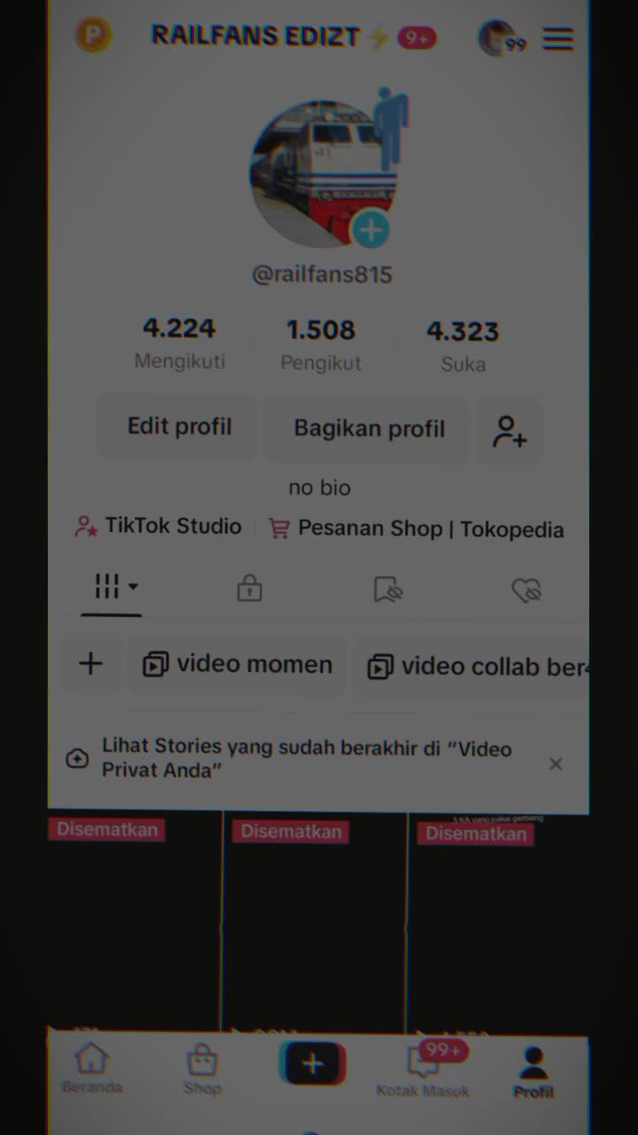 akhirnya bisa pakai efek bingkai yg | DIS SHIROKO CHAN (@shiroko_chan8)