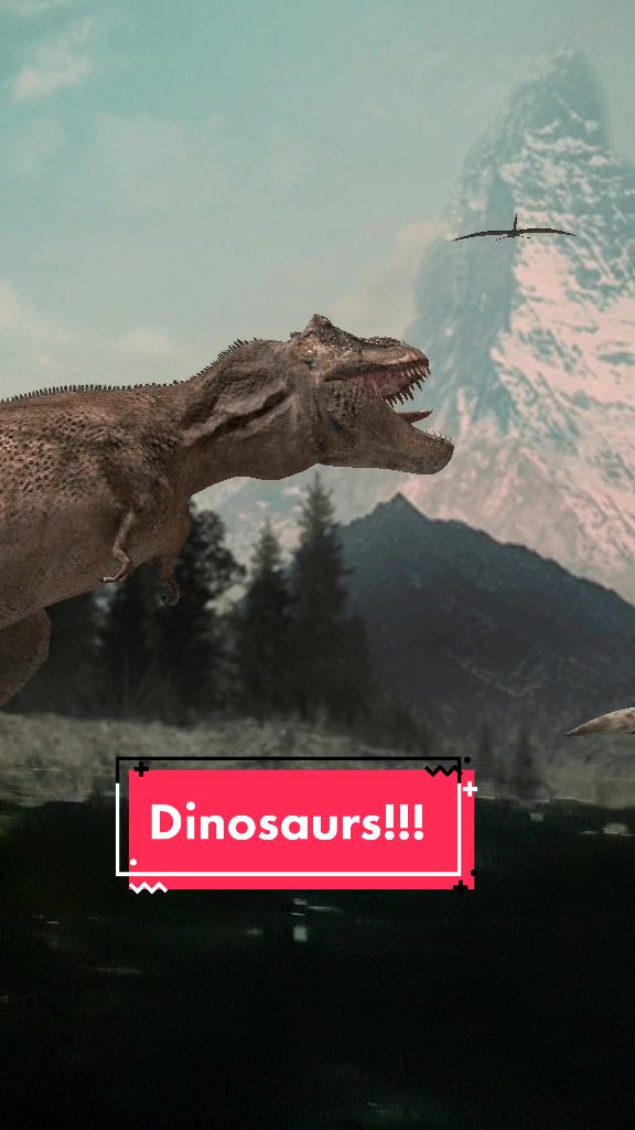 Sun Phitthaya Phaefu (@aurora_sun_) - Urlebird