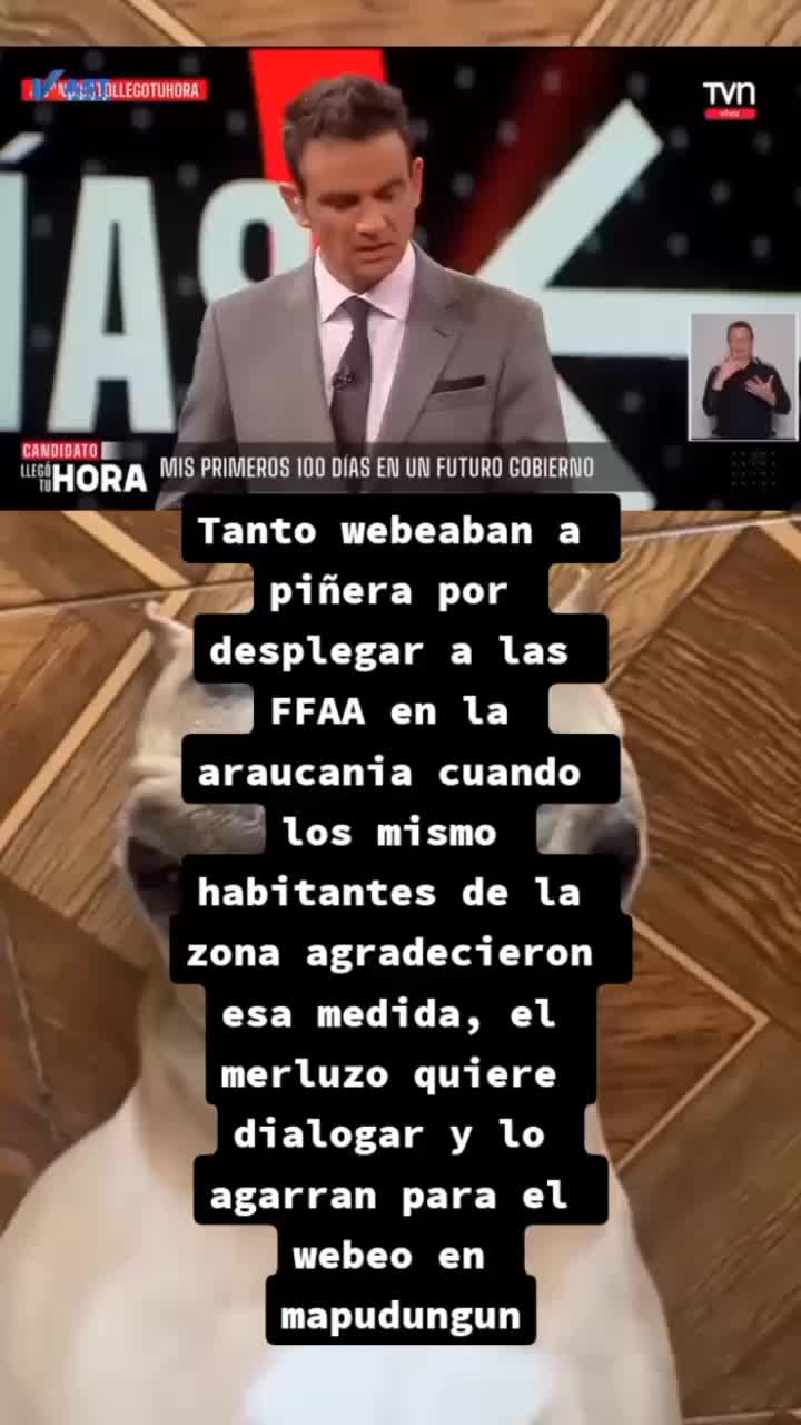 Merluzo inepto (@merluzo.inepto) - Urlebird