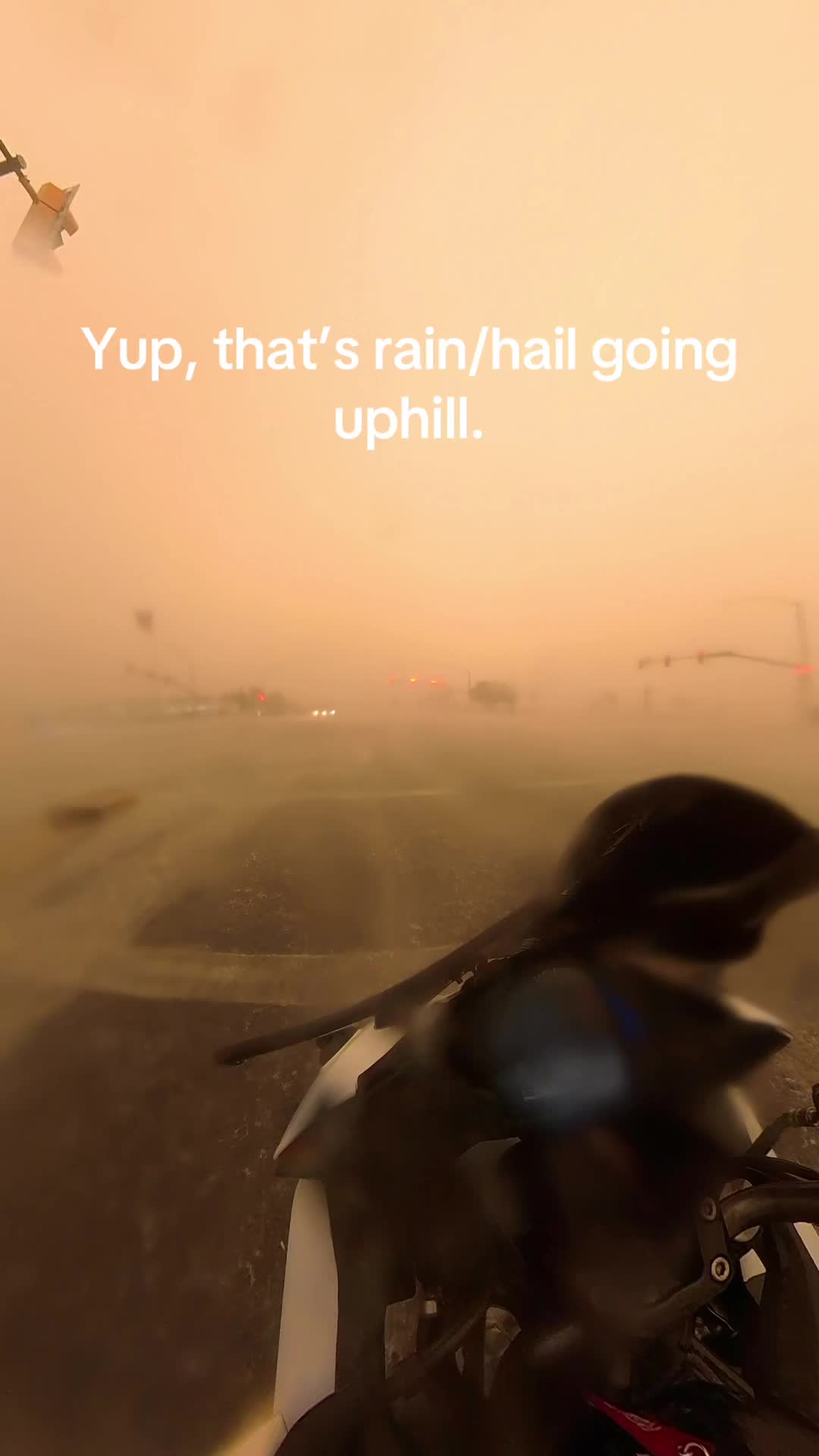 Rosie_Rider (@rosie__rider) - Urlebird