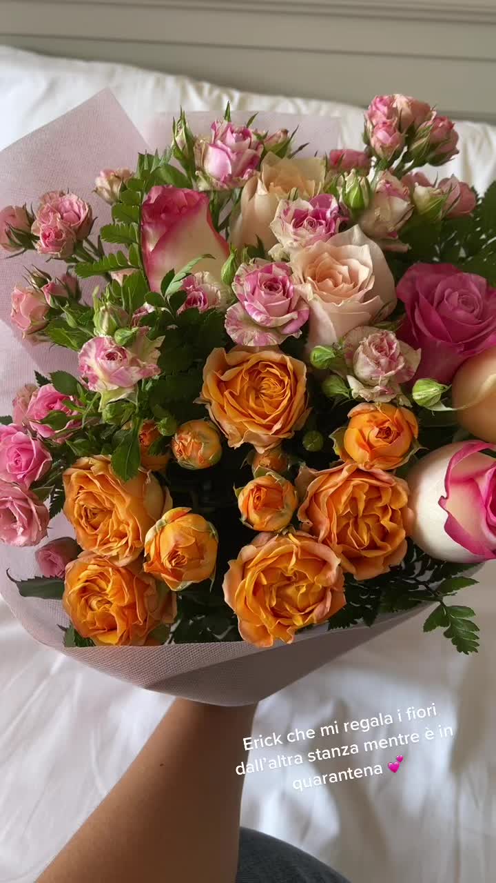 dominick_alaimo (@dominick_alaimo) - Urlebird