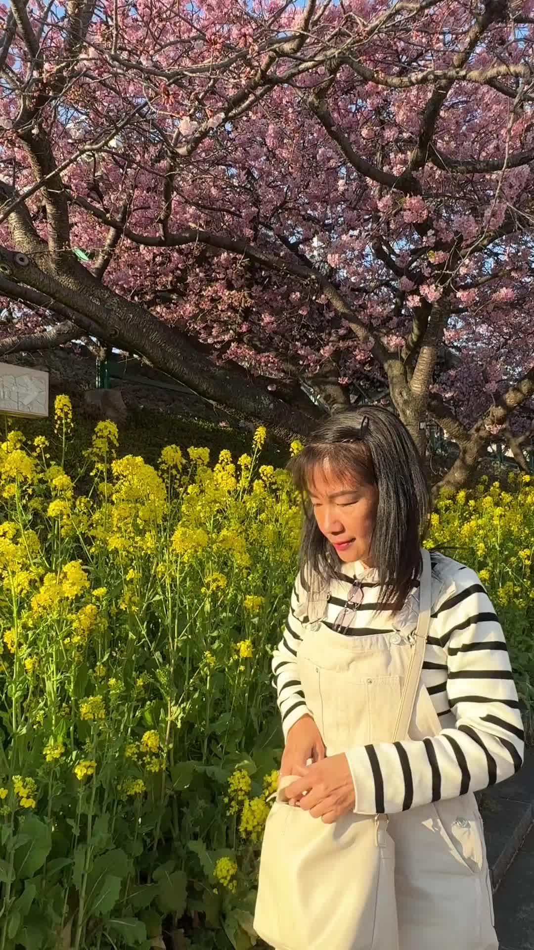 #spring 2025 japan spring japan 2025 | Joshen Balingbing (@joshen ...