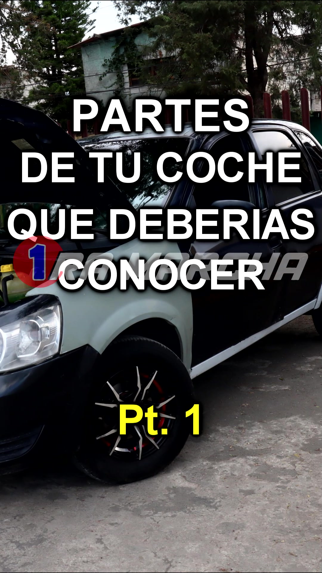 Aprendamos cuales son las PARTES MAS | Primera Marcha Oficial ...