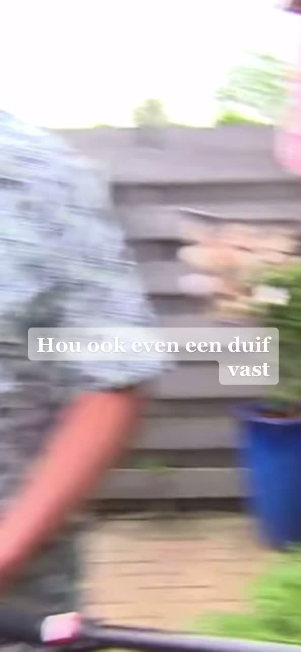 Van je collega’s moet je het hebben | Petra Mulder (@petra.mulder)