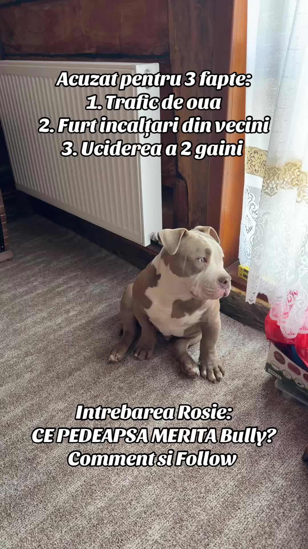 Bătrânu Official ® (@batranu_official) - Urlebird