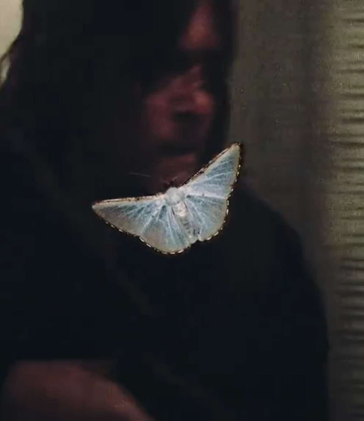 my pfp for a reason | hayat 🕷️ (@cvntverse)