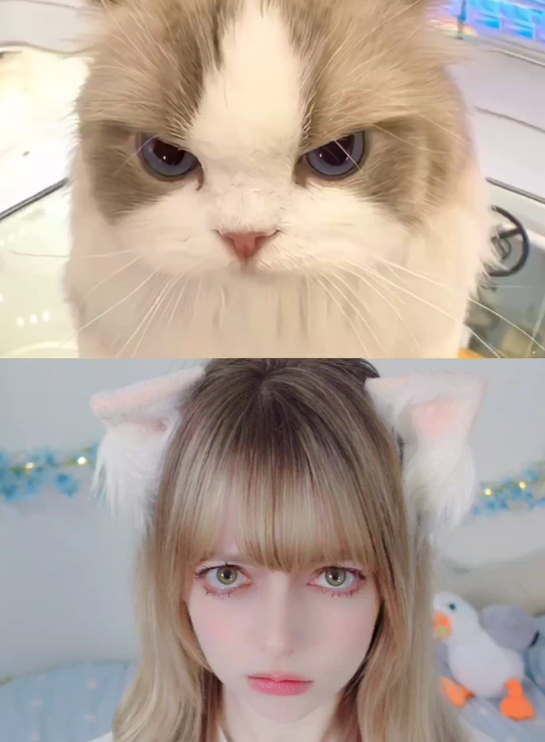 🍓 Kimmy 🍓 (@kimmy_kimochi) - Urlebird