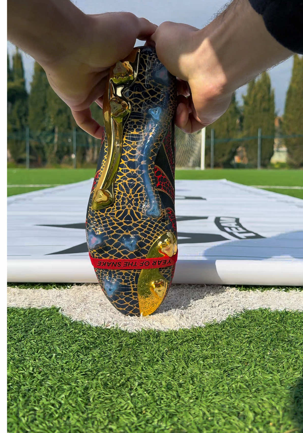 🦄 @teamdvnk - DVNK - TikTok