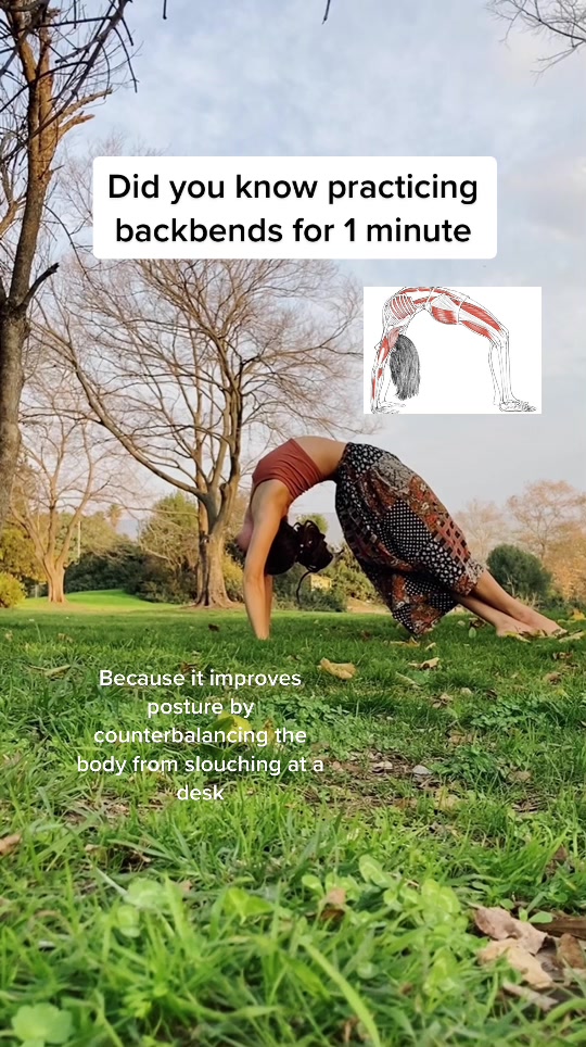 1 minute & you'll feel | Sophie Chi (@sophie.chi)