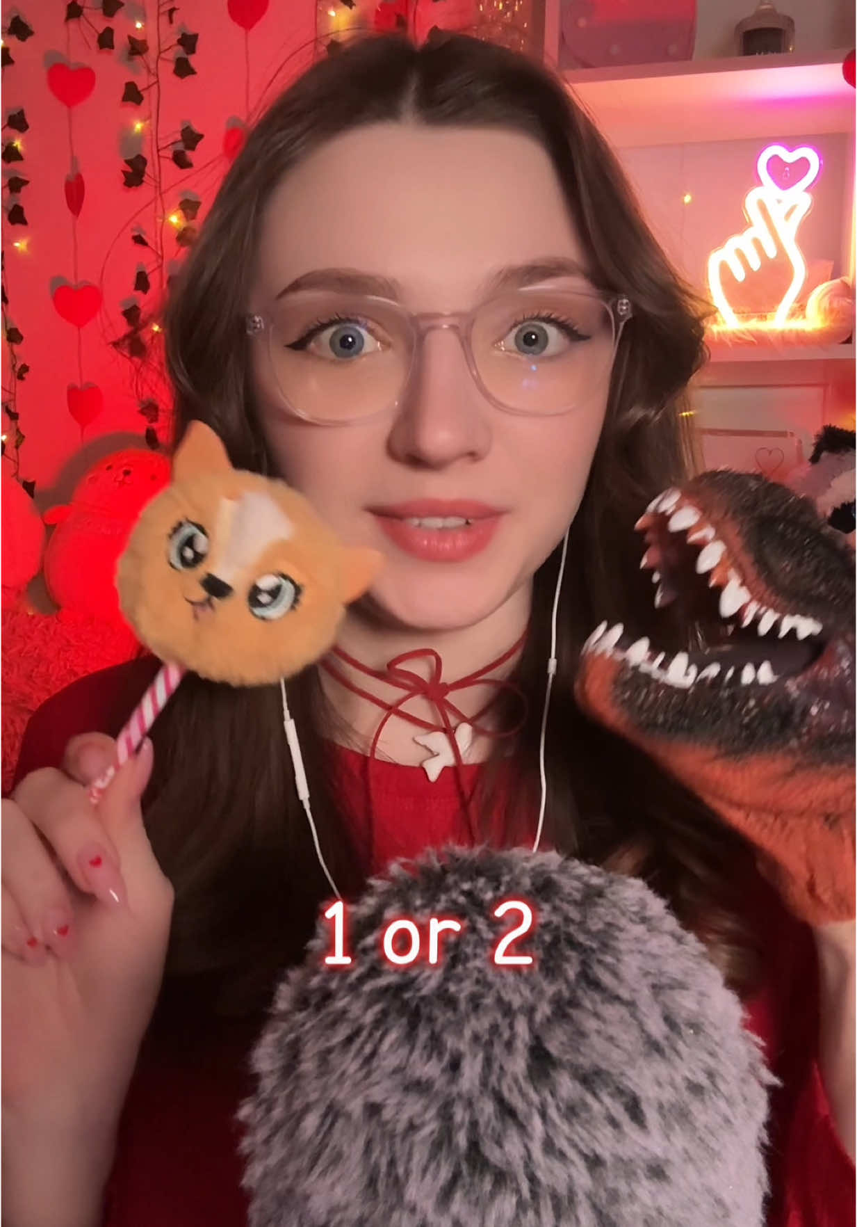 🦄 @asmr.raccoon - Alina Raccoon ASMR - TikTok