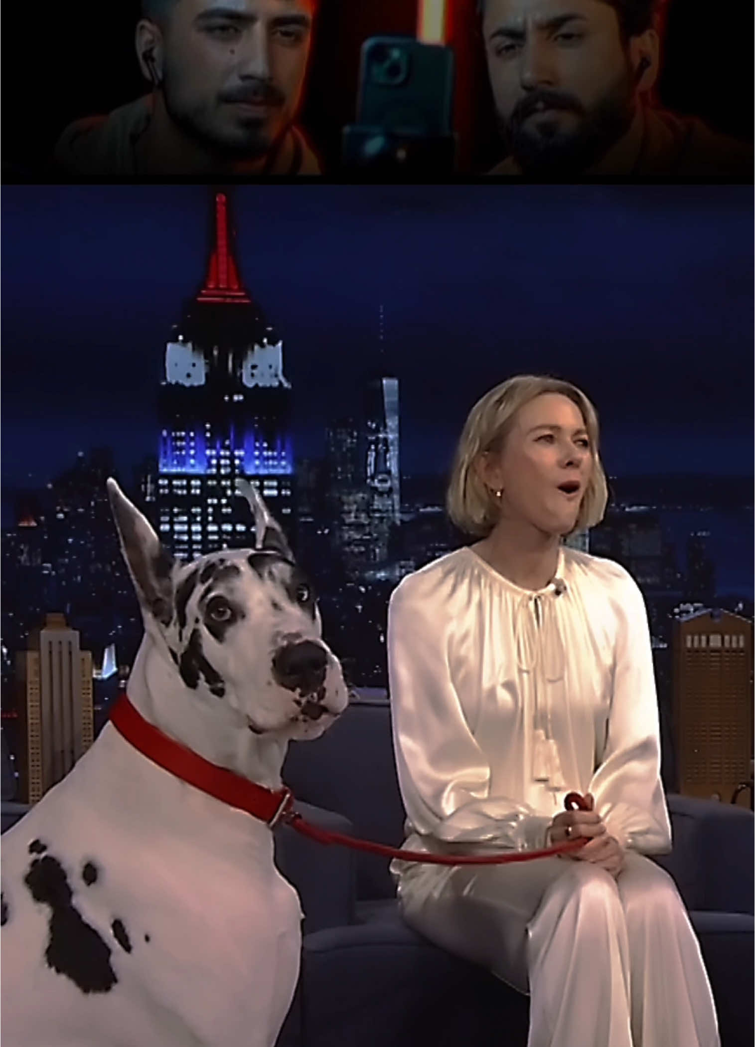 Naomi Watts' 150-Ib co-star Bing | DUMB GUY (@dummy0862)