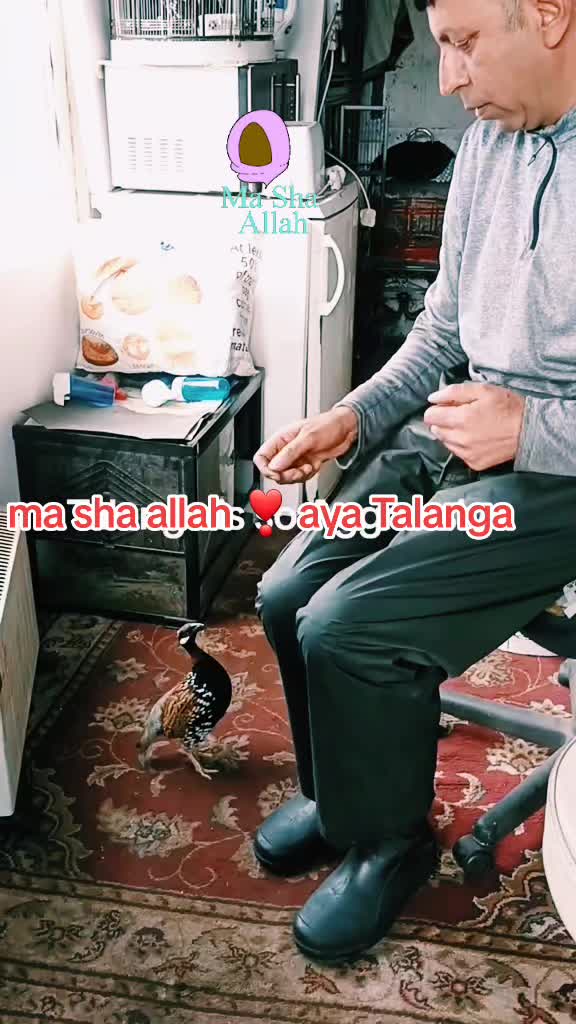 Moeez Khan (@moeezkhain) - Urlebird