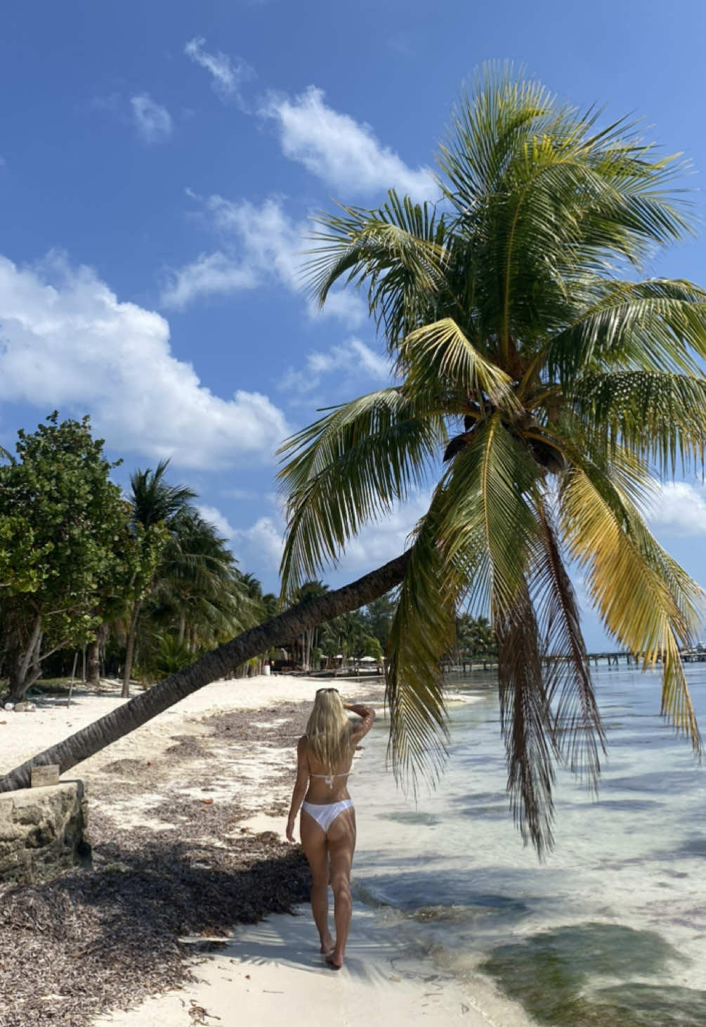 Travel with me to Isla Mujeres from | Maya Coleman (@maya..colemann)