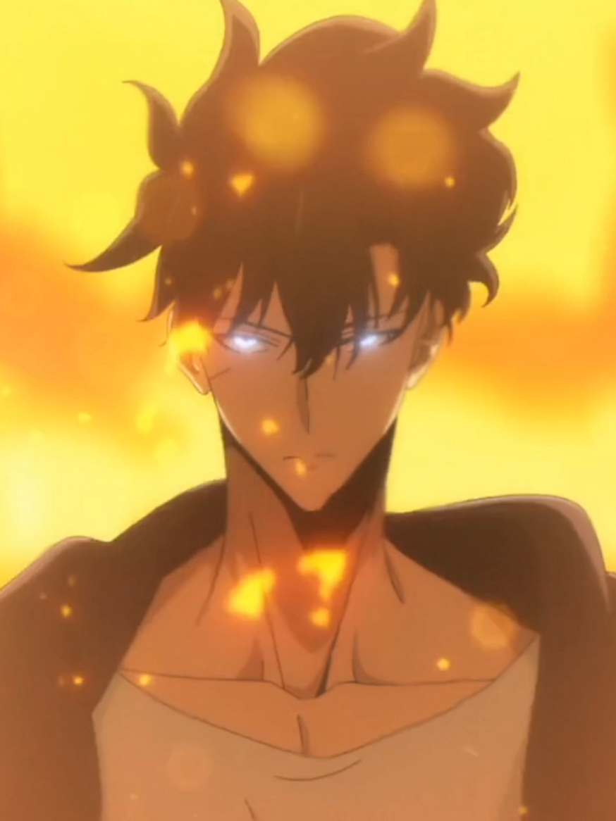 Sung jin woo vs beru full fight | Sad boy (@kozuki__tv)