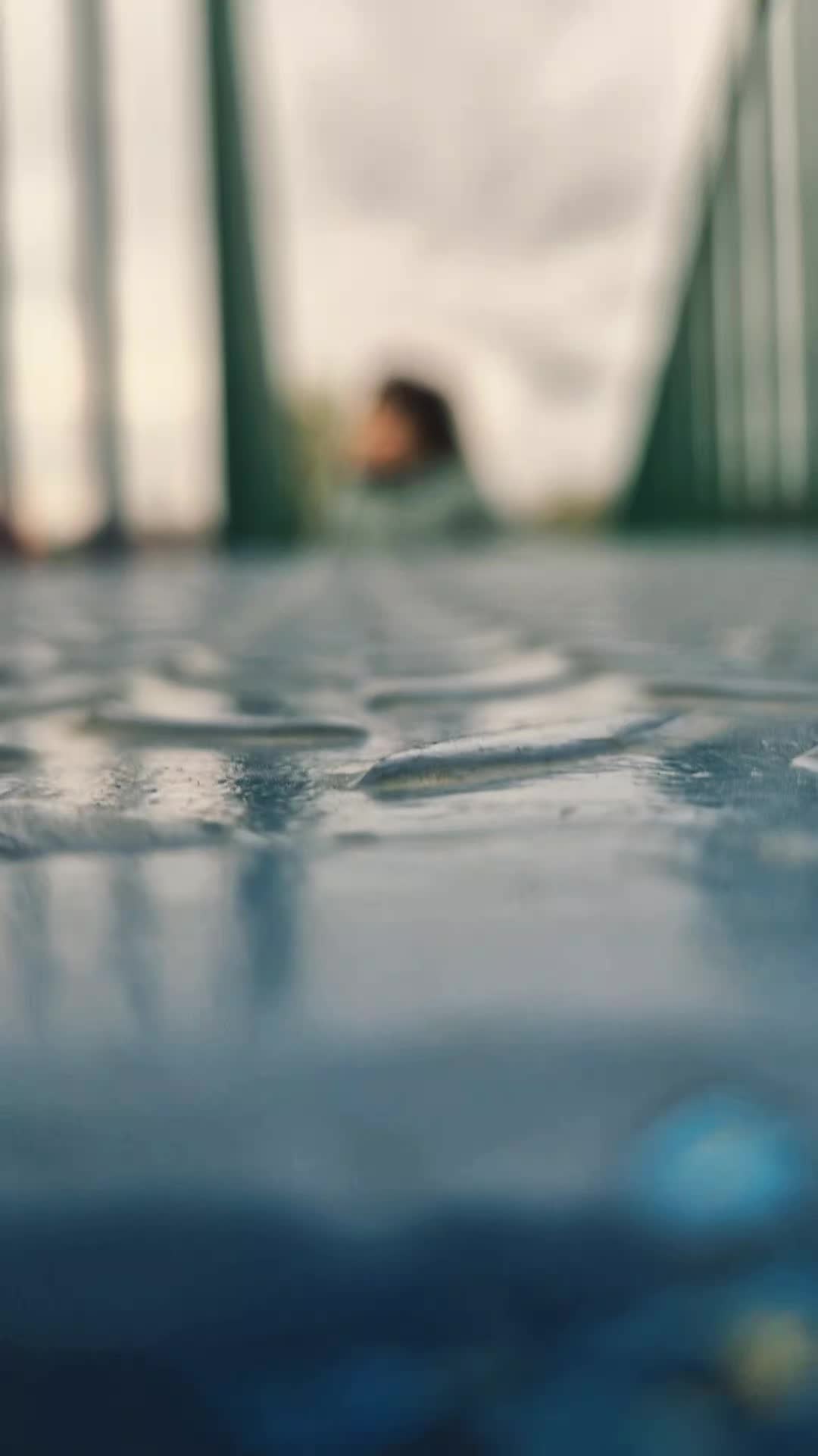 Esha Mae (@eshamae1) - Urlebird