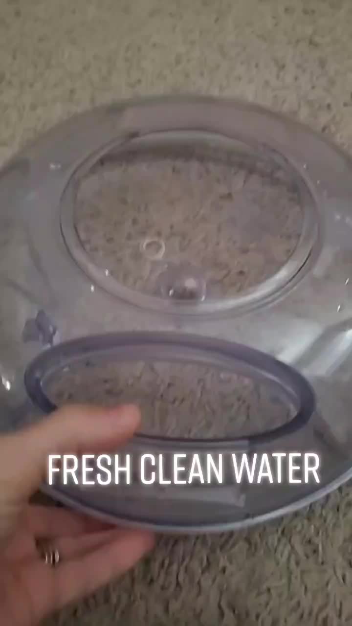 Brittany Buffkin (@brittanybuffkin) - Urlebird