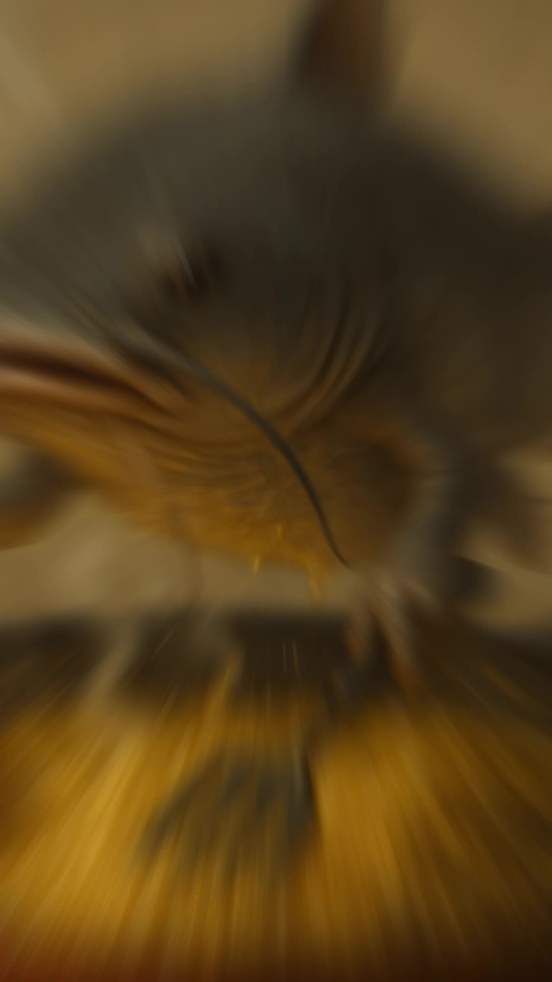 🦄 @noxaasht - Noxa - TikTok