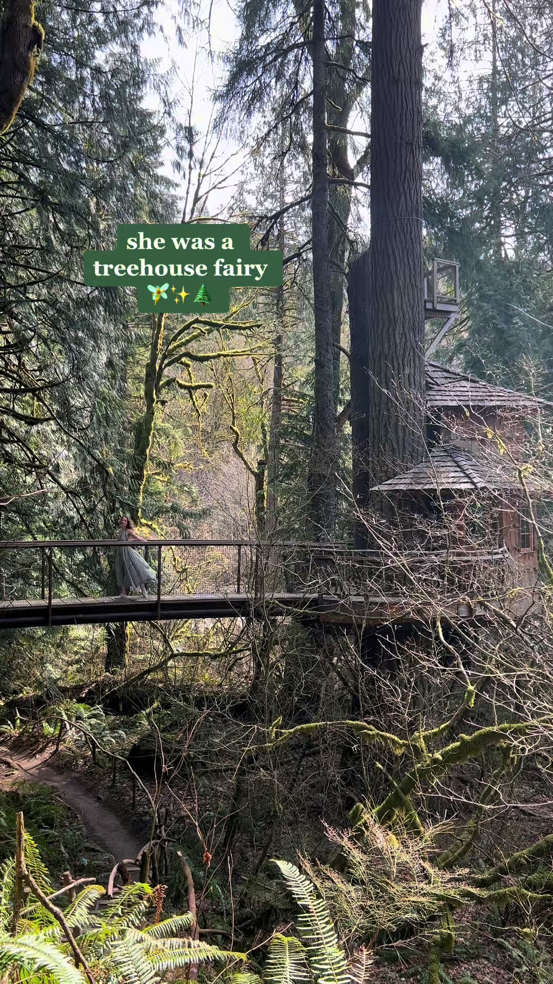 a rare sighting of the Burl treehouse | Treehouse Point (@treehouse_point)