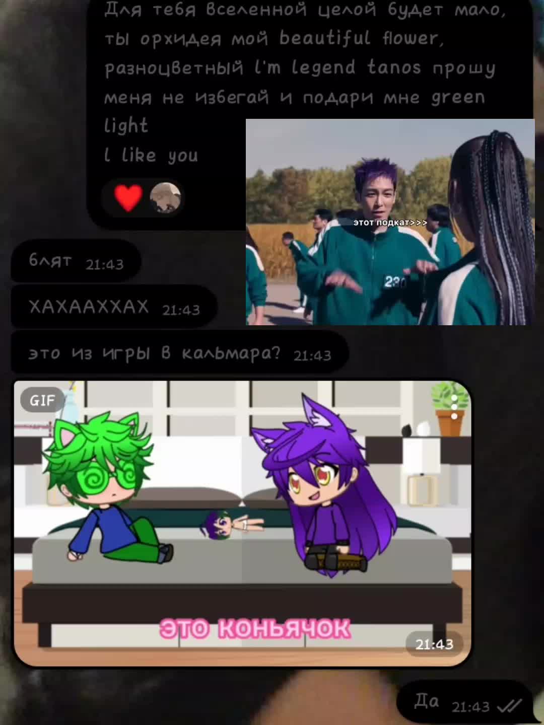 @テマティ подари мне green light | Олег Чечетка 👑 (@cherkash_001)