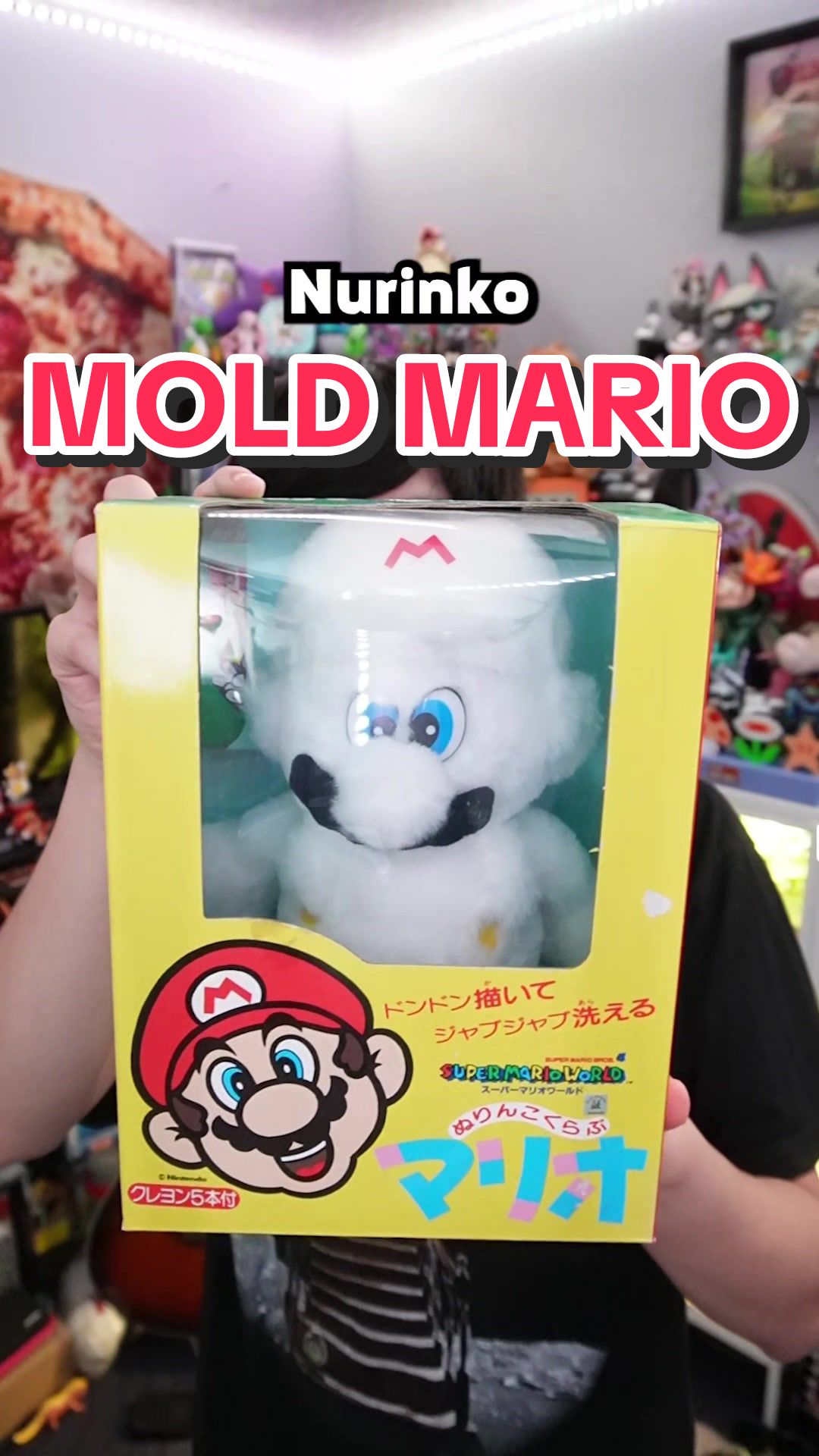 1992 Alps Nurinko Color Me Mario Plush | Nich's Level (@nichslvl)