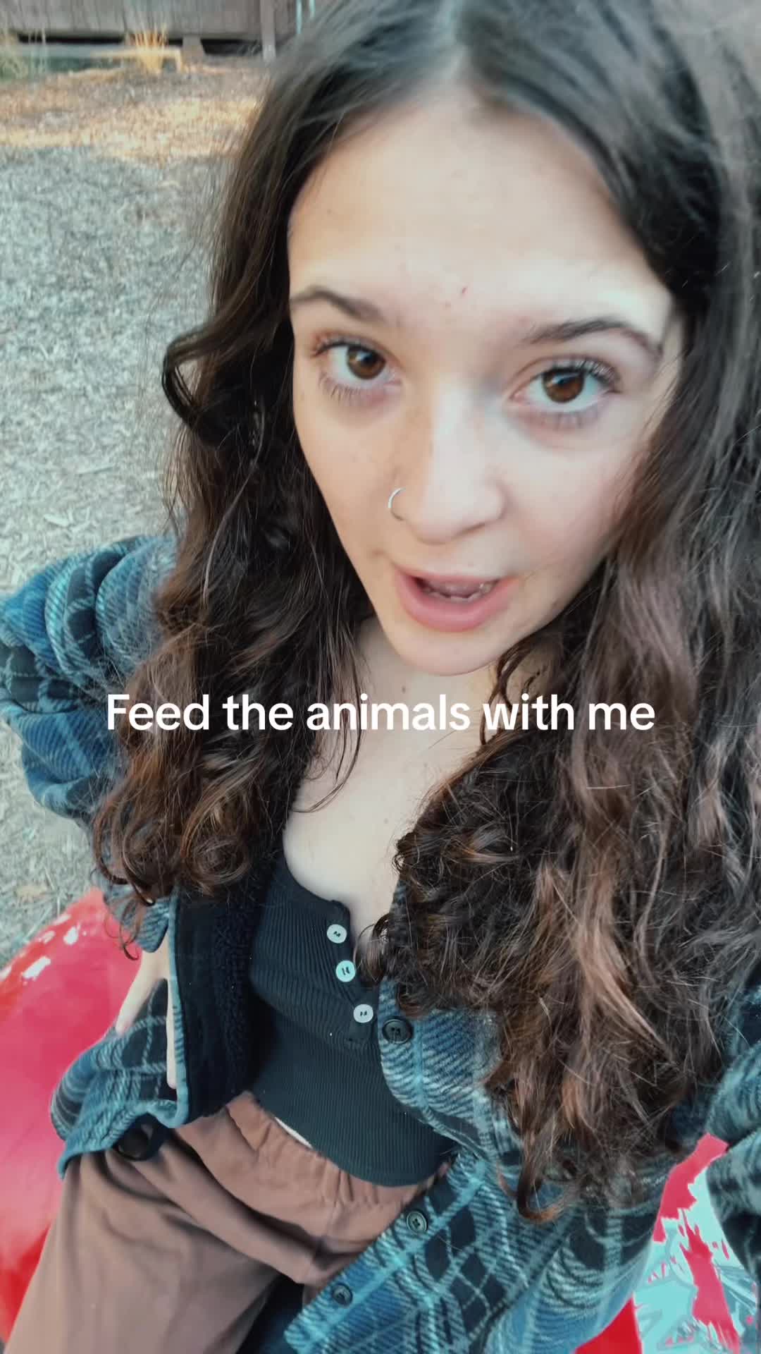 Feed the animals w me | megan page (@thealmondmilkgirl)