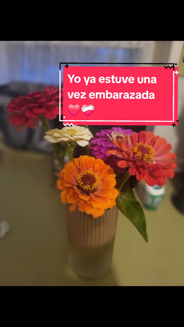 Yo ya estuve una vez embarazada | María Escribano (@maria.escribanoo)