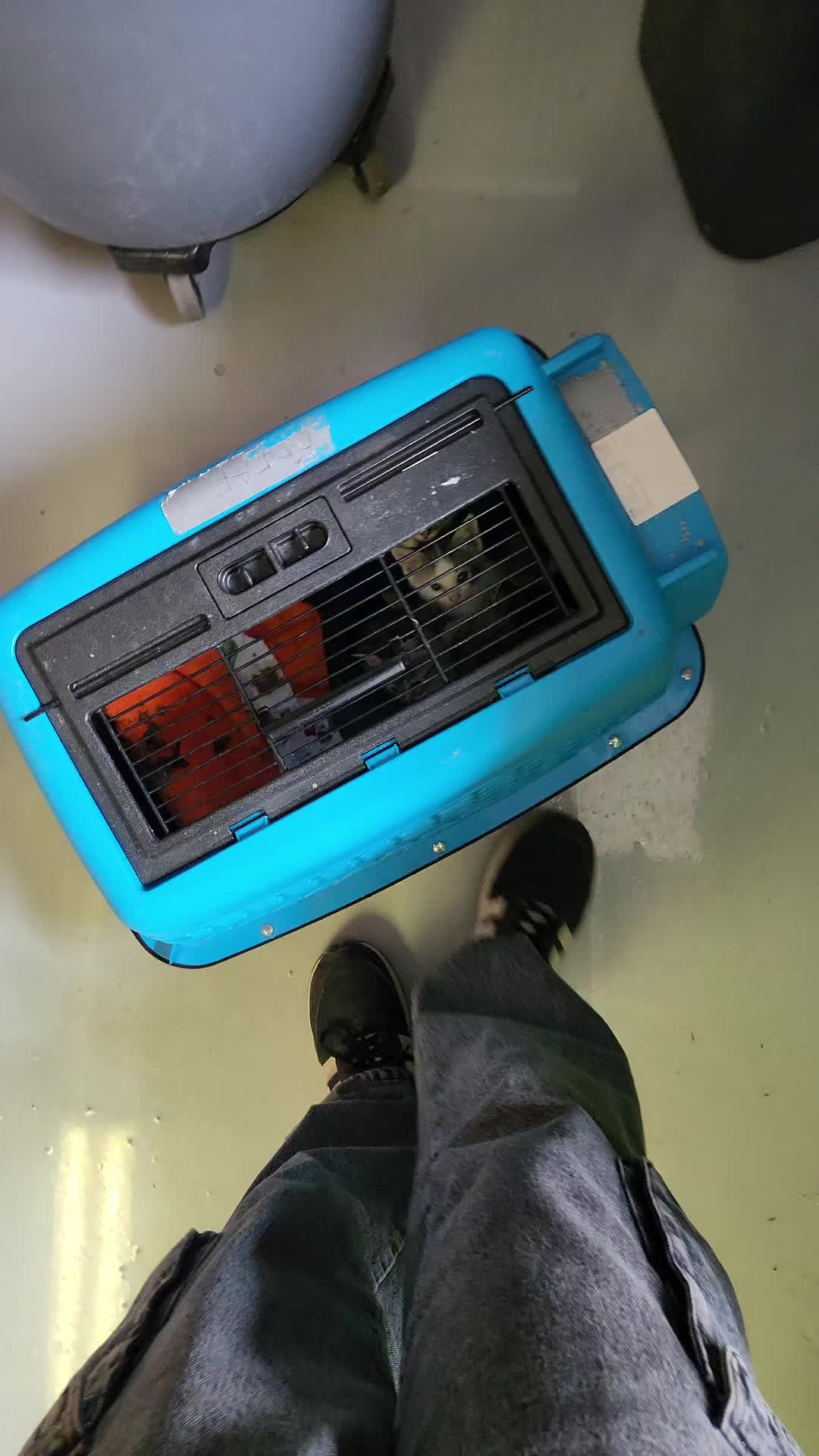 #миттіжиття | Дмитрий Лупинос (@dmitry_2727)