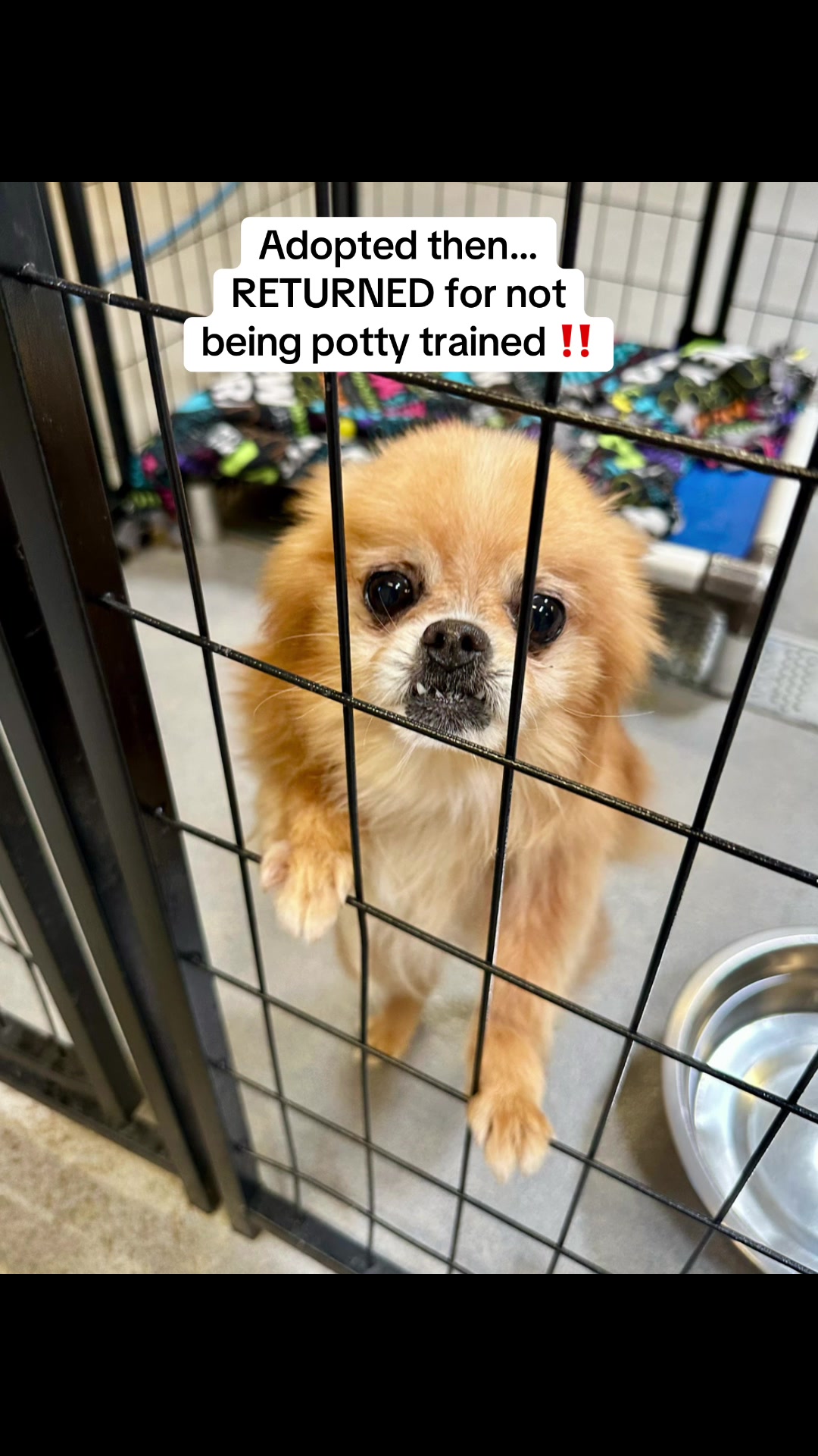 Jellybean is so sus diddy blud! 🫱 | #1 diddy ahh blud (@diddenbludden)