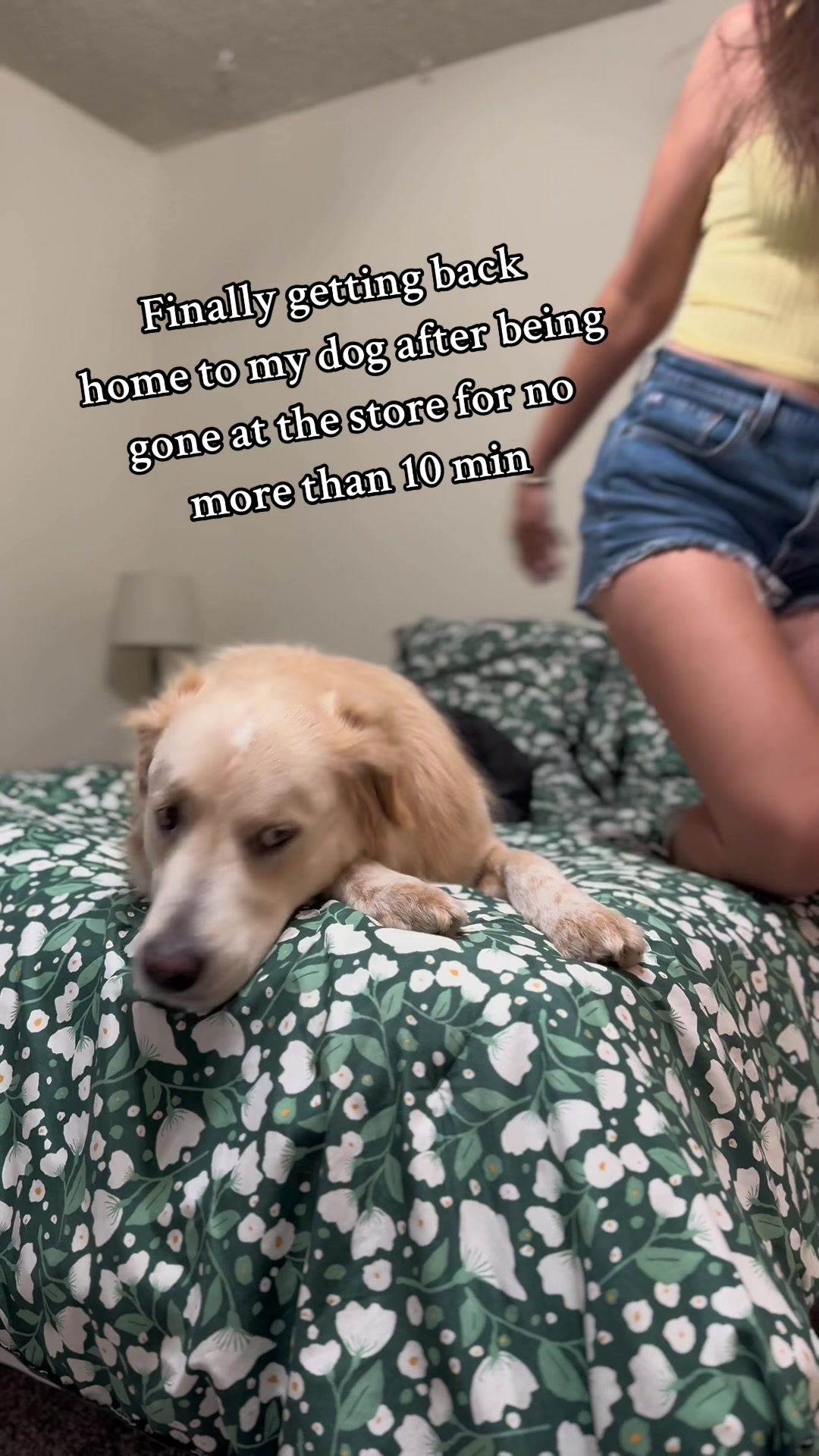 Breaking the 4th wall like he’s Jim | CARL | The Dog (@adogcalledcarl)