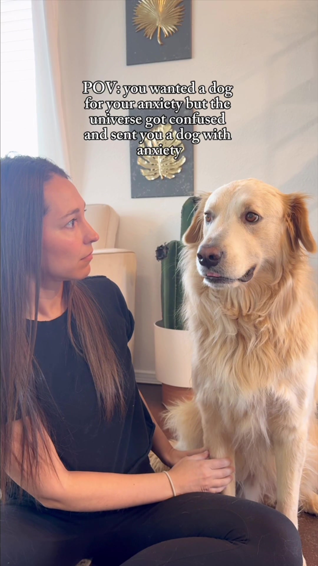 His face 😂🤣 #fyp #dogsoftiktok #dog | CARL | The Dog (@adogcalledcarl)