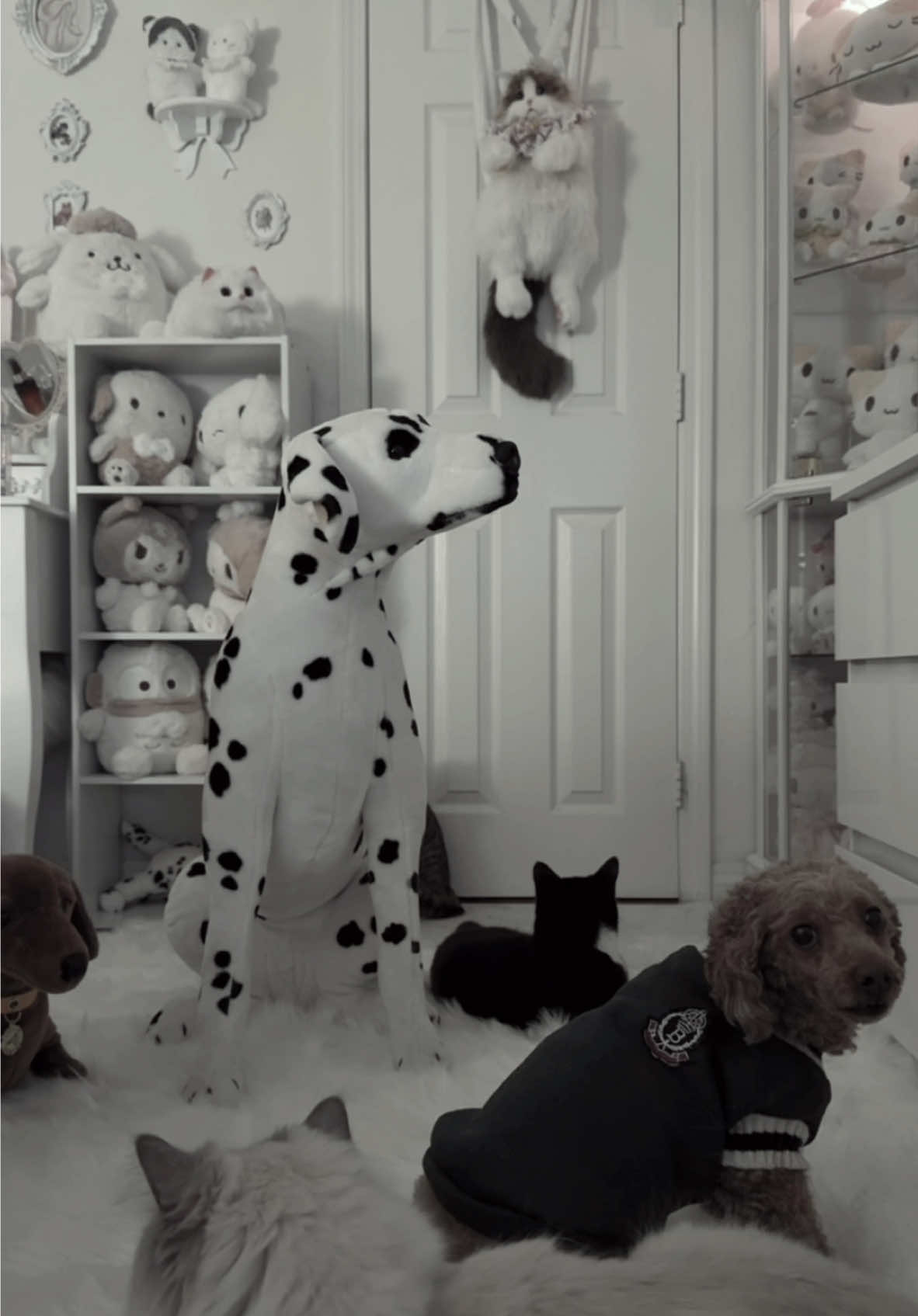 puchainasos🫦 #fyp #paratii | Stefany (@stefrp2)