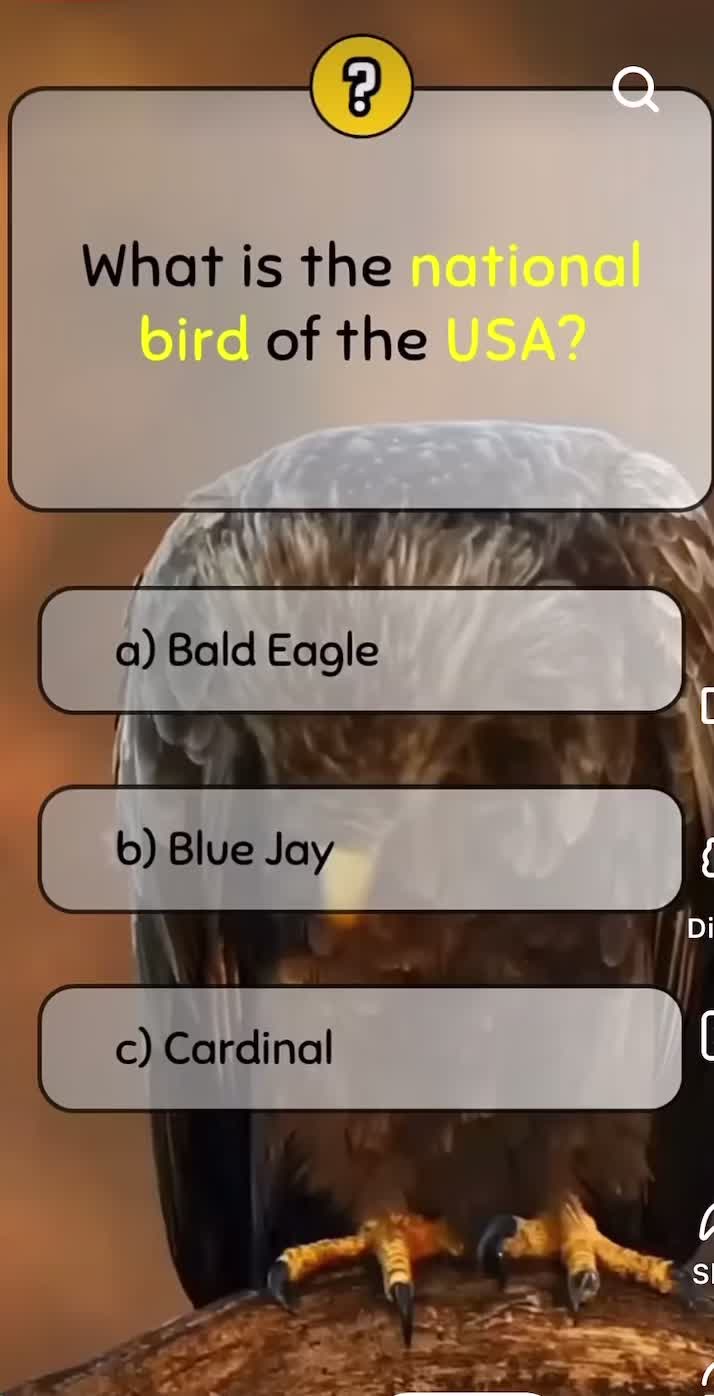 Can you guess these trivia questions | Quiz Wiz (@quiz.wizi)