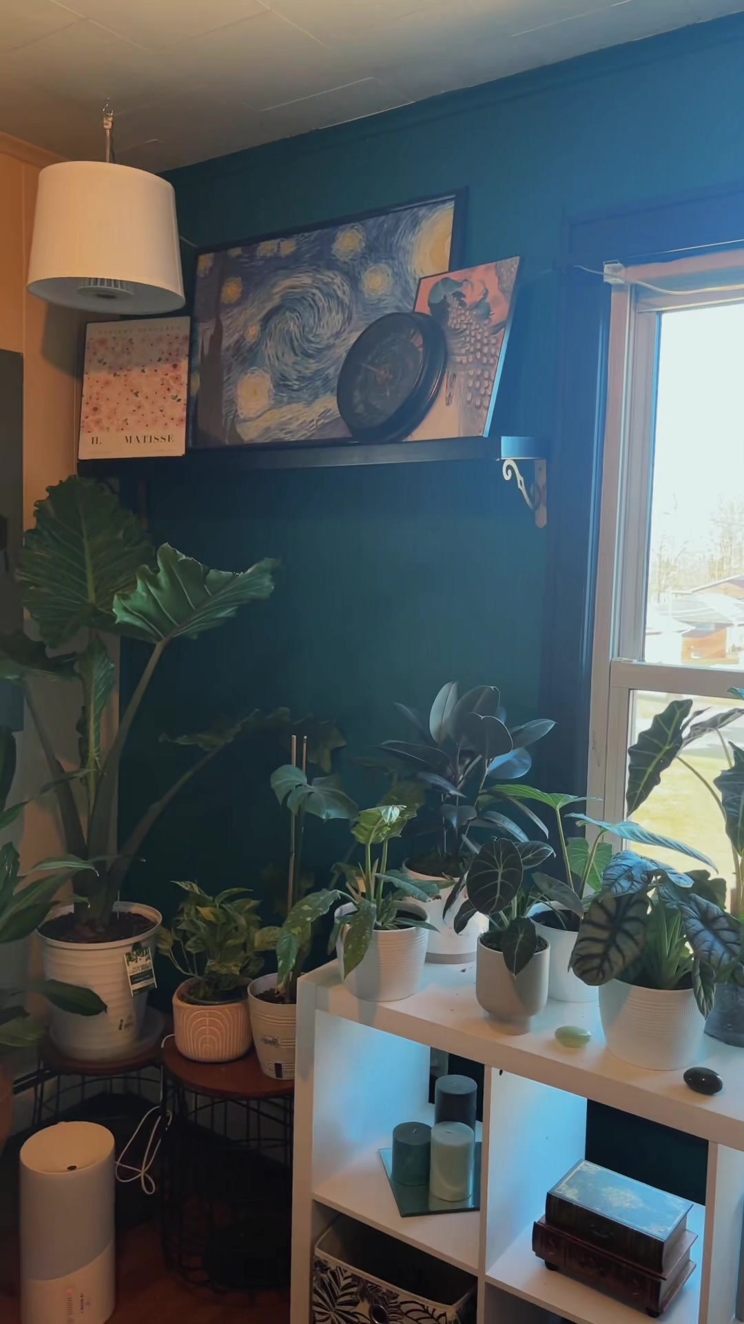 lexafrex.com (@lexafrexx) - Urlebird