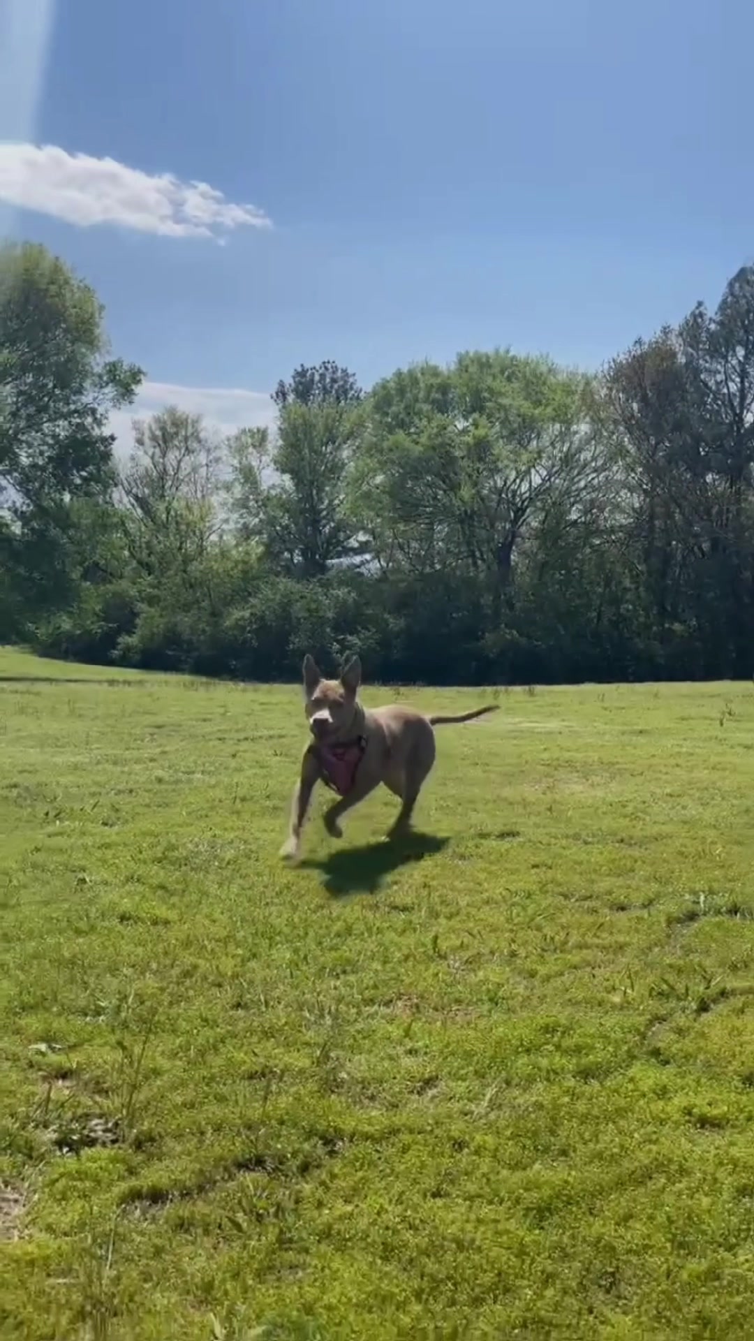 Ariel Long (@theariellong) - Urlebird