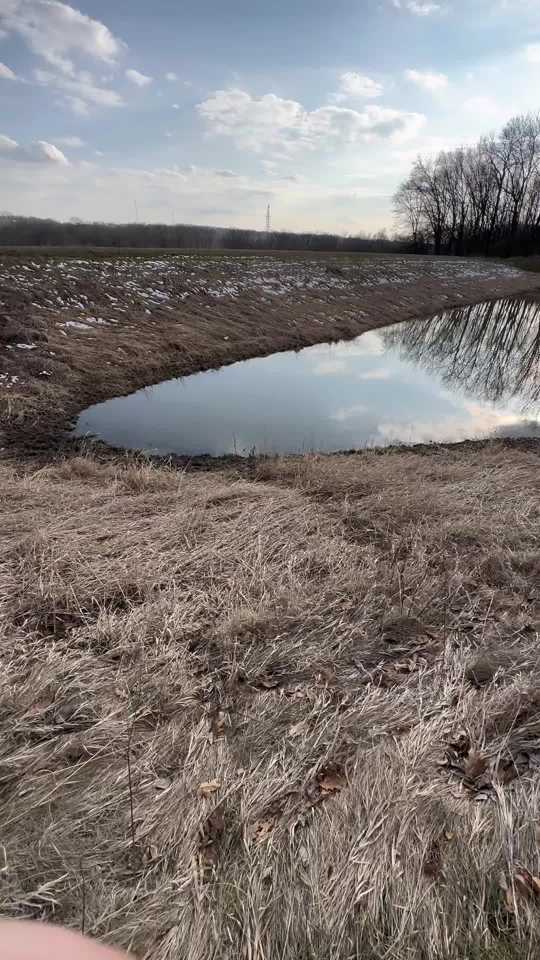 midwestfreakstv (@midwestfreakstv) - Urlebird