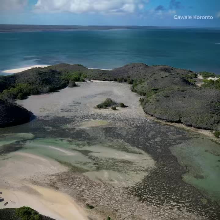 original sound - cawalekoronto - Cawaale Koronto - Tiktok videos with song