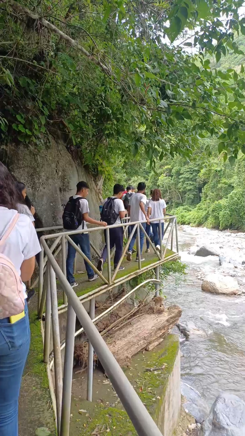 🦄 @normalbilinguedeolancho - ENBO - TikTok