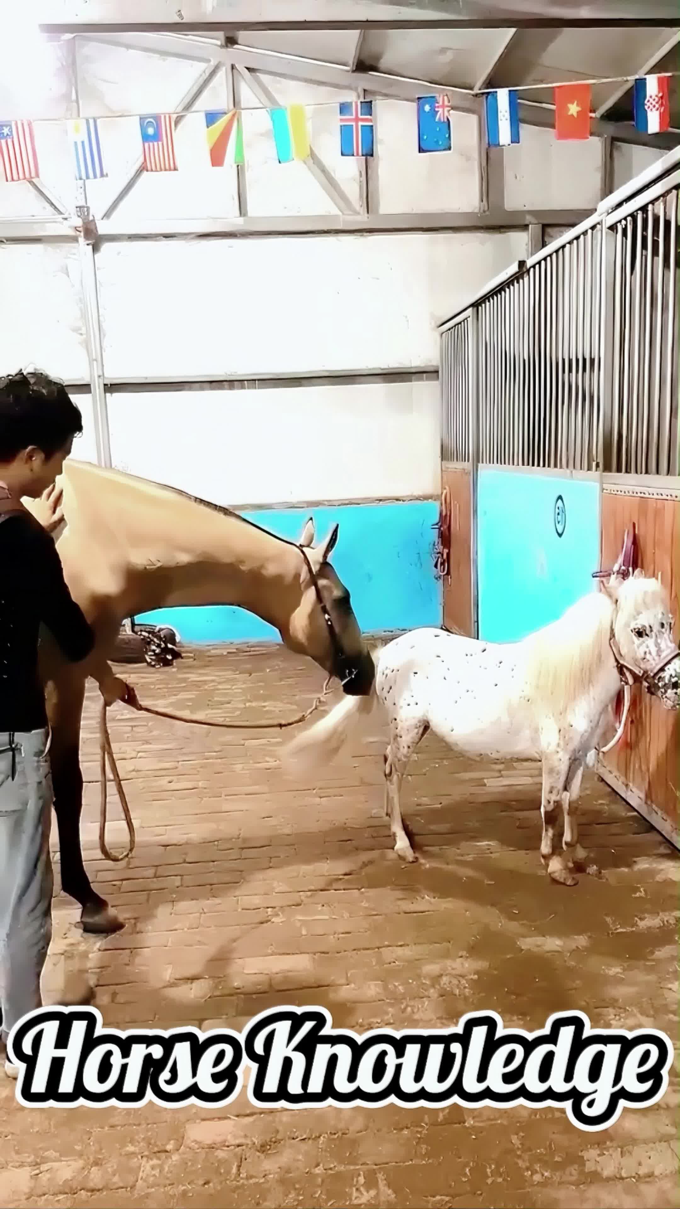 #disponsori Thank you all for the kind | FoxyRoxyLovesYou (@roxannakemppainen)