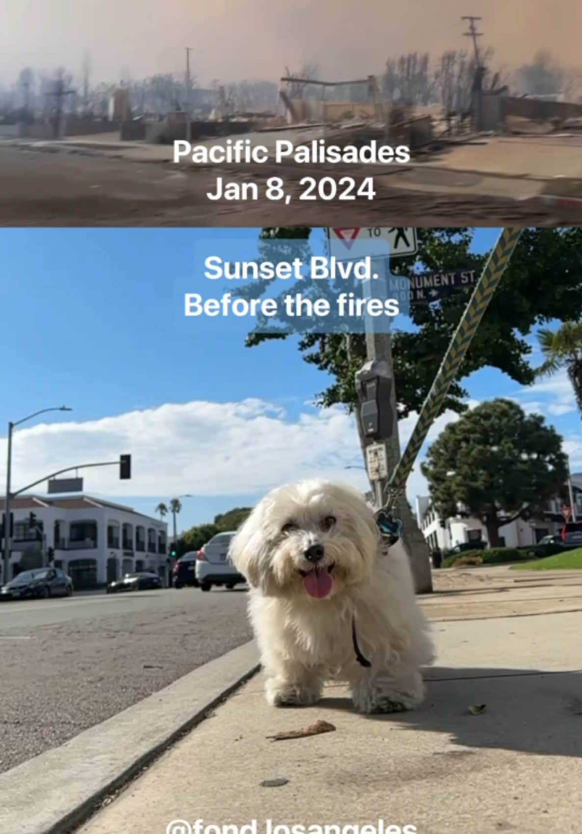 Devastated by the wildfires at Pacific | Roni Brunn (@fond.losangeles)