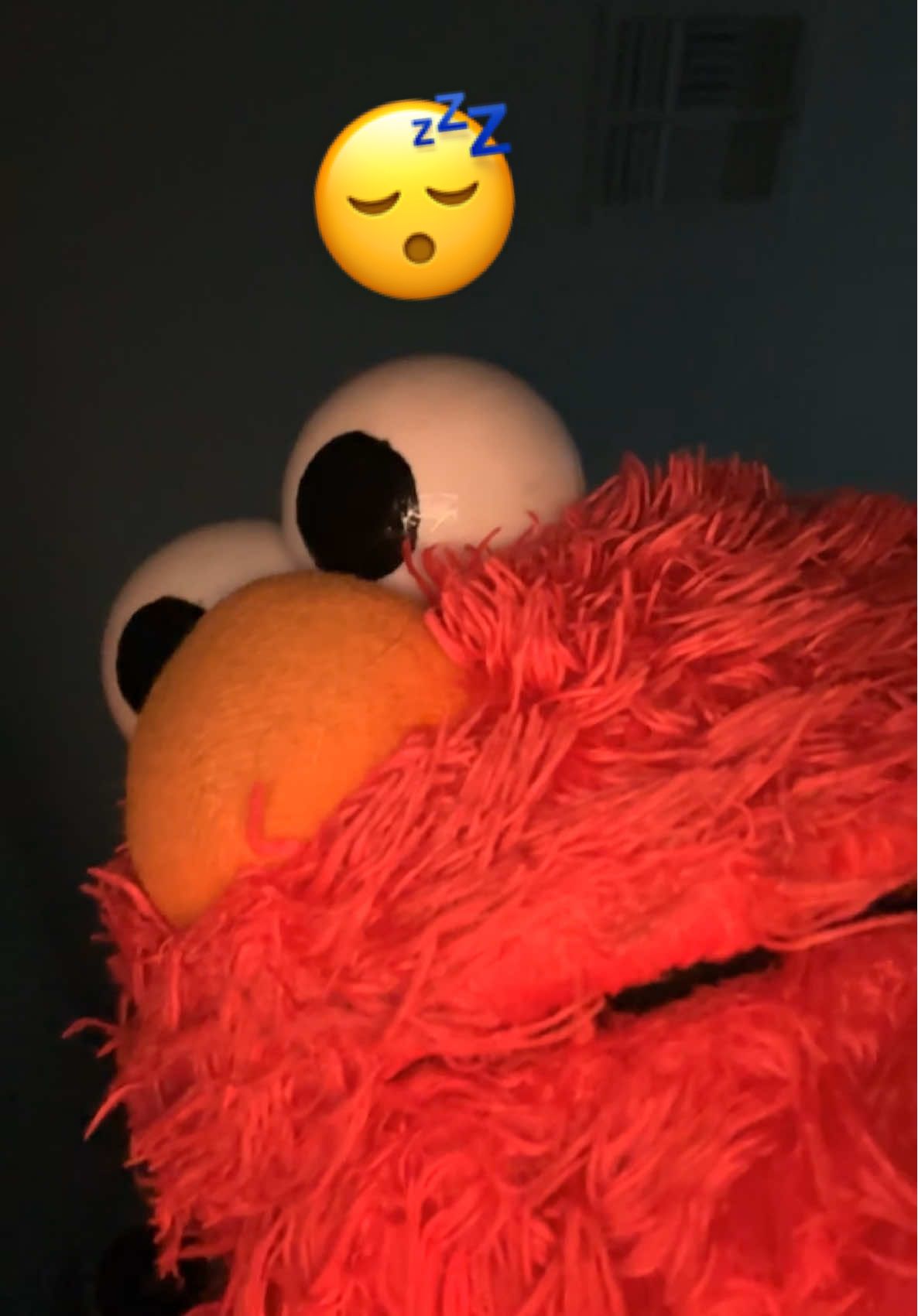 Sleep check point 😴 #fyp #elmo #sleep | TheDaiTrickster (@thedaitrickster)