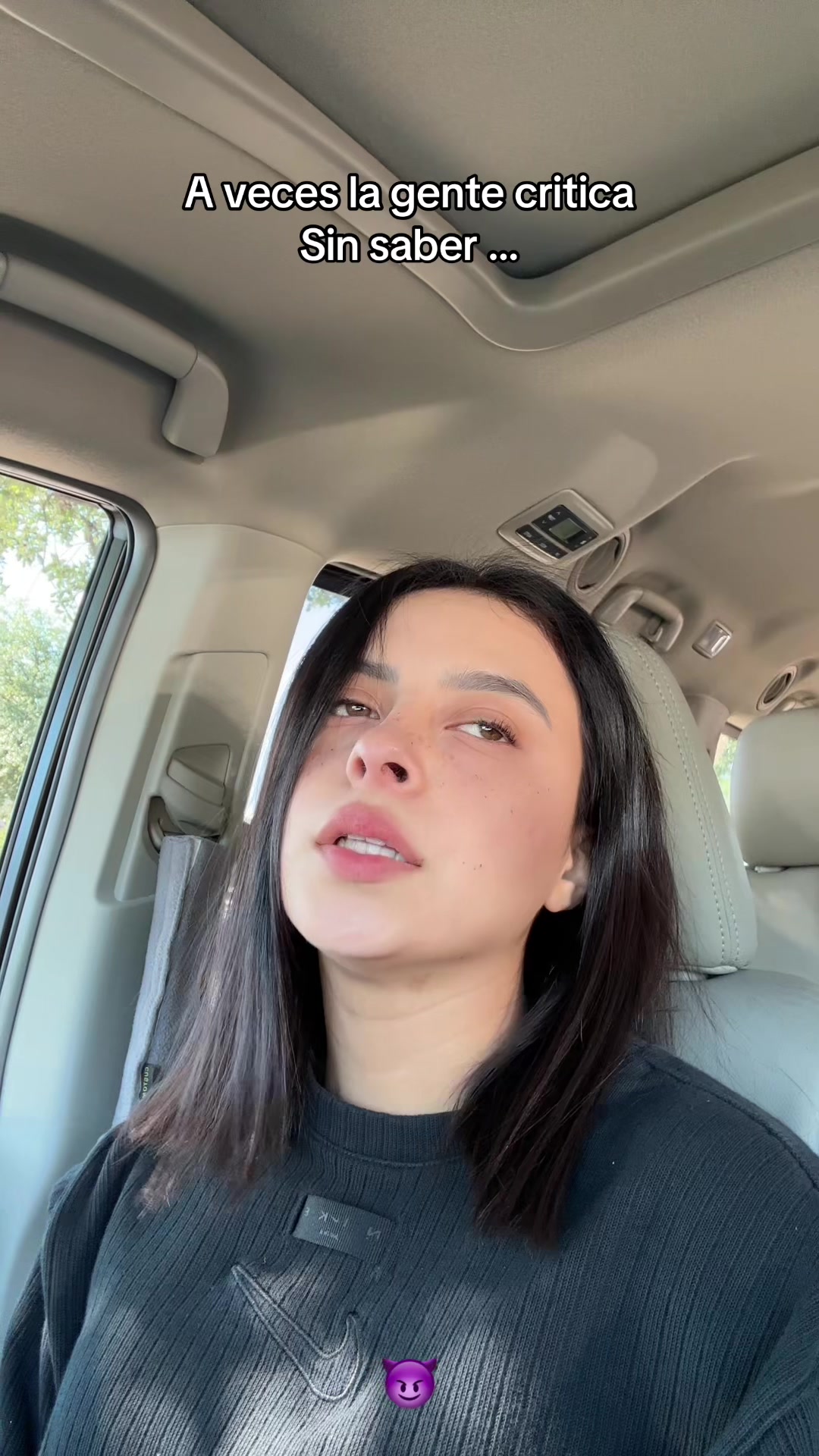 Just going through the safety features | FakeTruck (@fake_trucker)