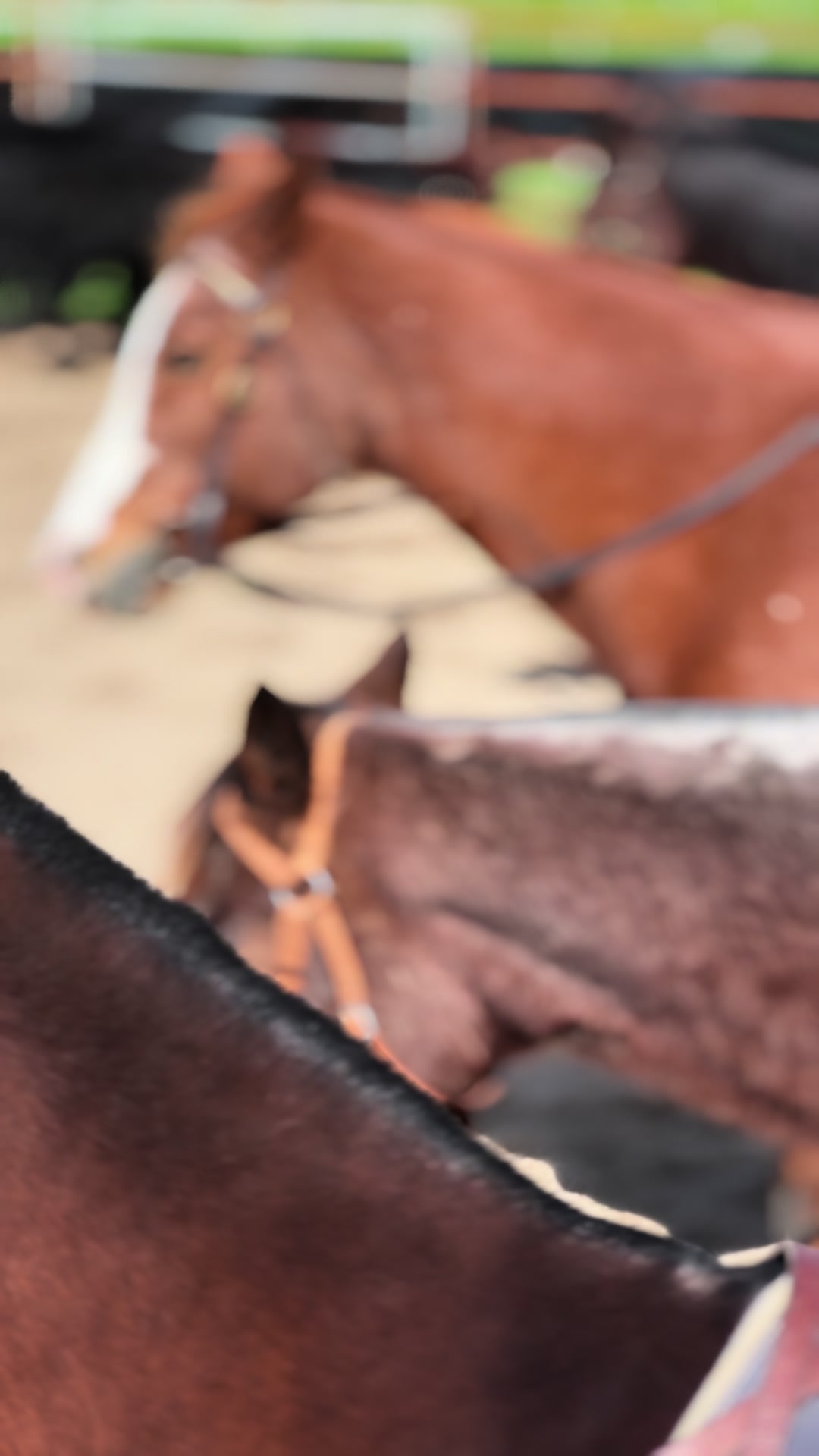 Brittney Cole 🤍 (@brittneyycole) - Urlebird