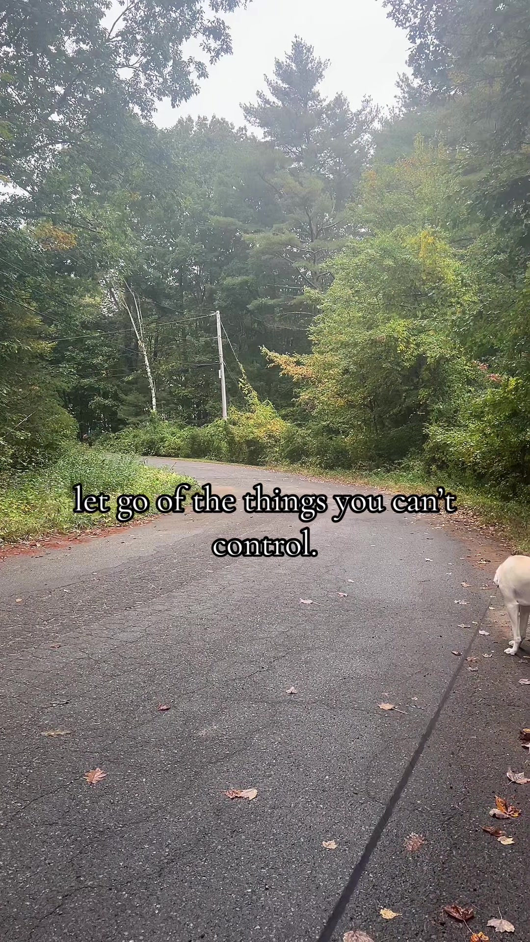 $ADIE STONE 👑 (@notsadiestone) - Urlebird