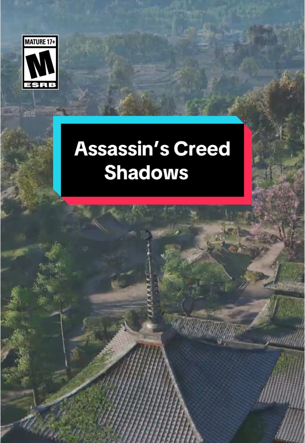 Это Чечня детка🐺 #никархо | НИКАРХО (@nikarkho_real)