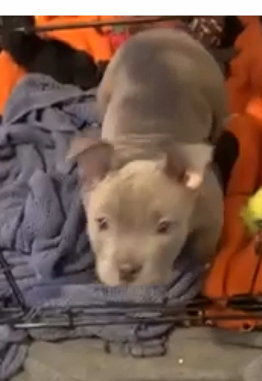 Minecraft Actions and stuff secret | PietSkiet1995 (@pietskiet1995)