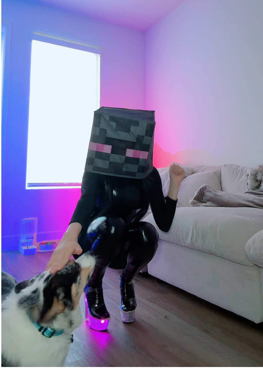 Ayuden a cumplir el sueño de amor | Mihartman (@mihartman__)