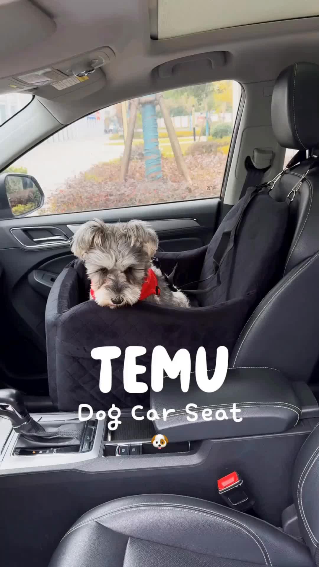 Why is Subaru and Rem going brainrot | Anitexts (@anitexts)